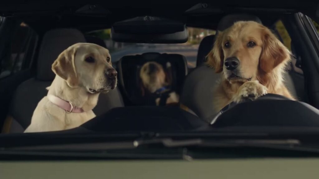Puppy Barkleys Road Trip Tunes | Subaru Dog Tested TV Commercial ...